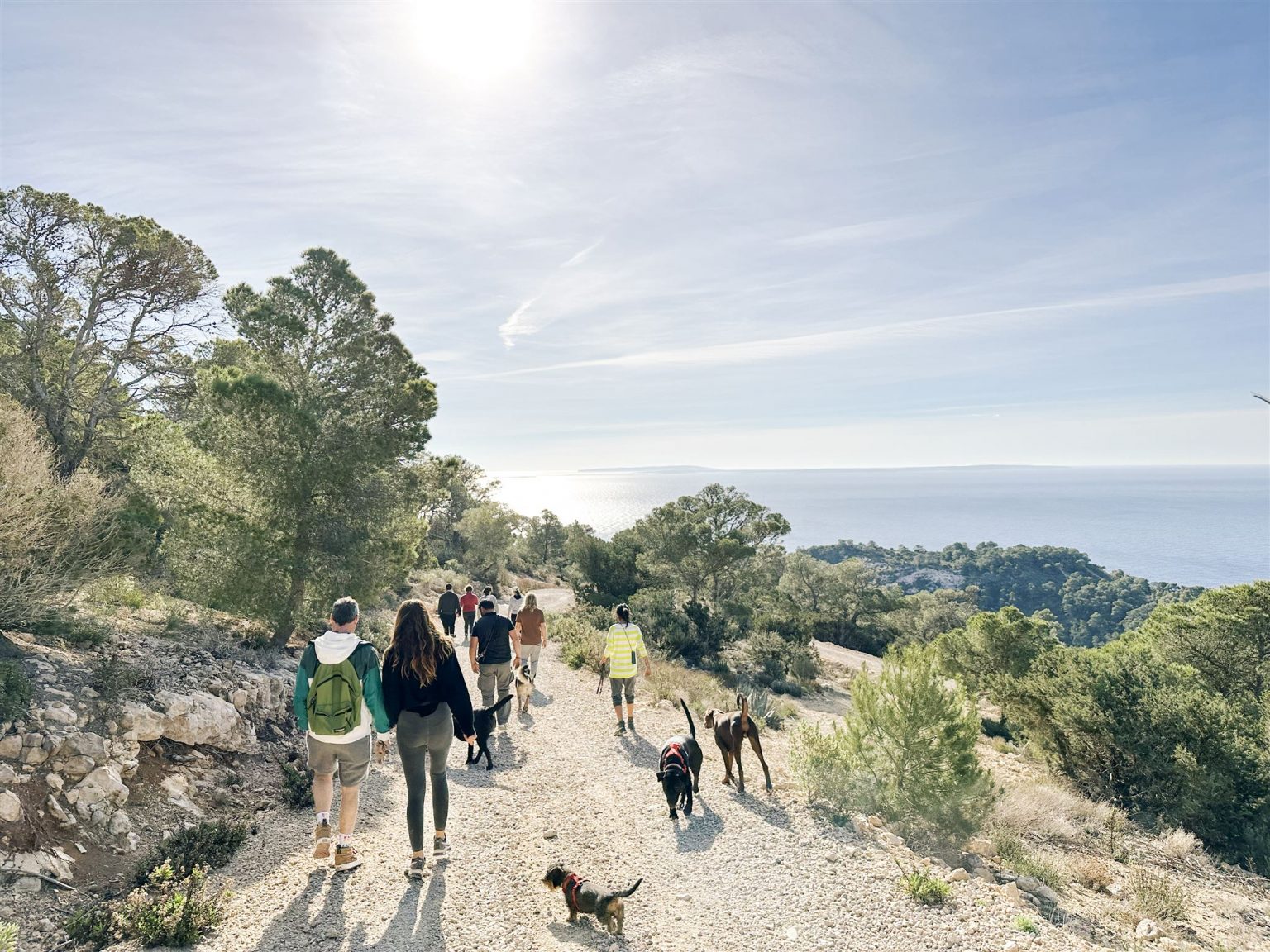 Adiestramiento y educación canina en Ibiza - Adiestrador de Perros en ...